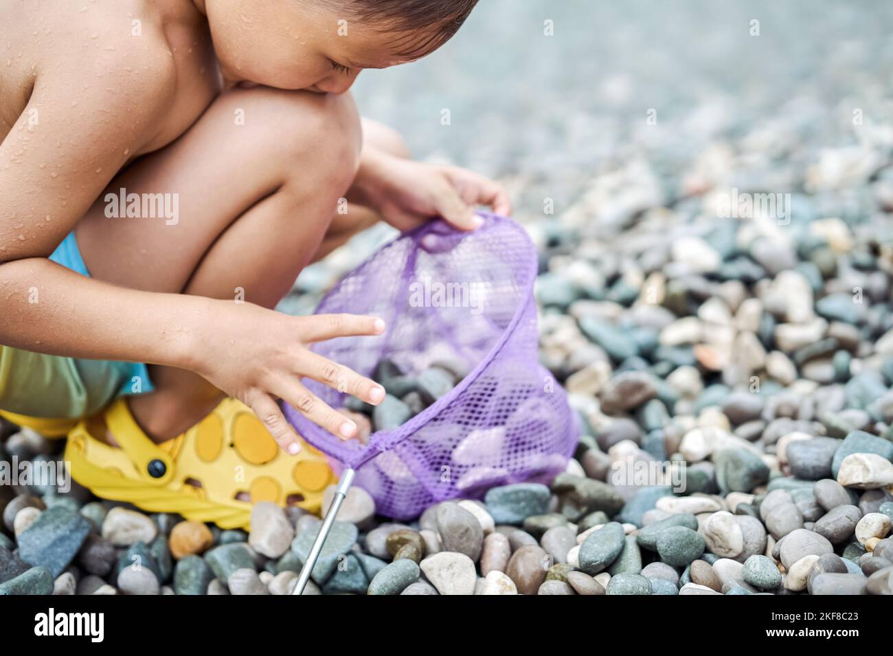 Pebble gathering hi-res stock photography and images - Alamy