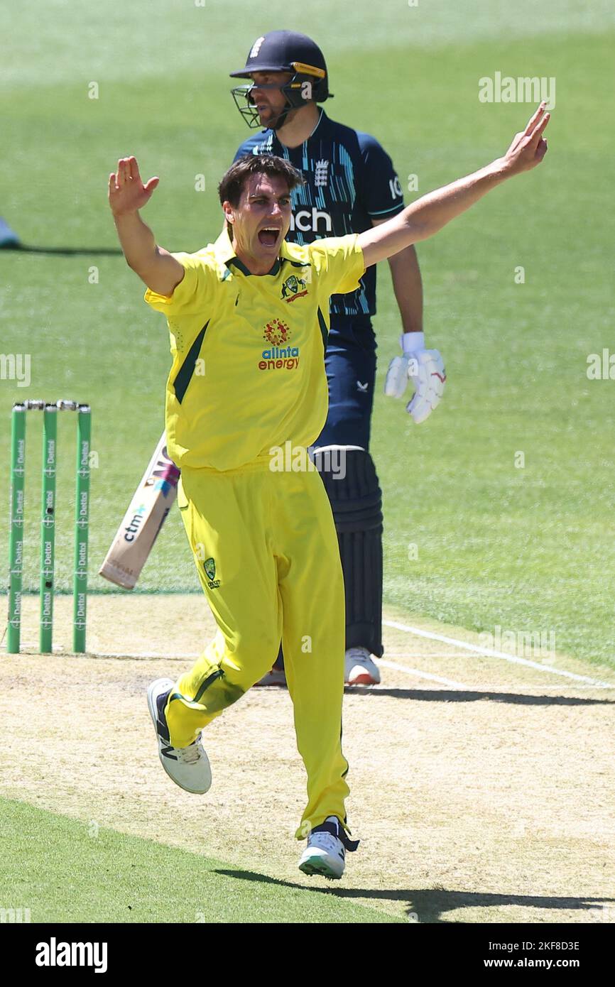 Patrick cummins australia hi-res stock photography and images - Alamy