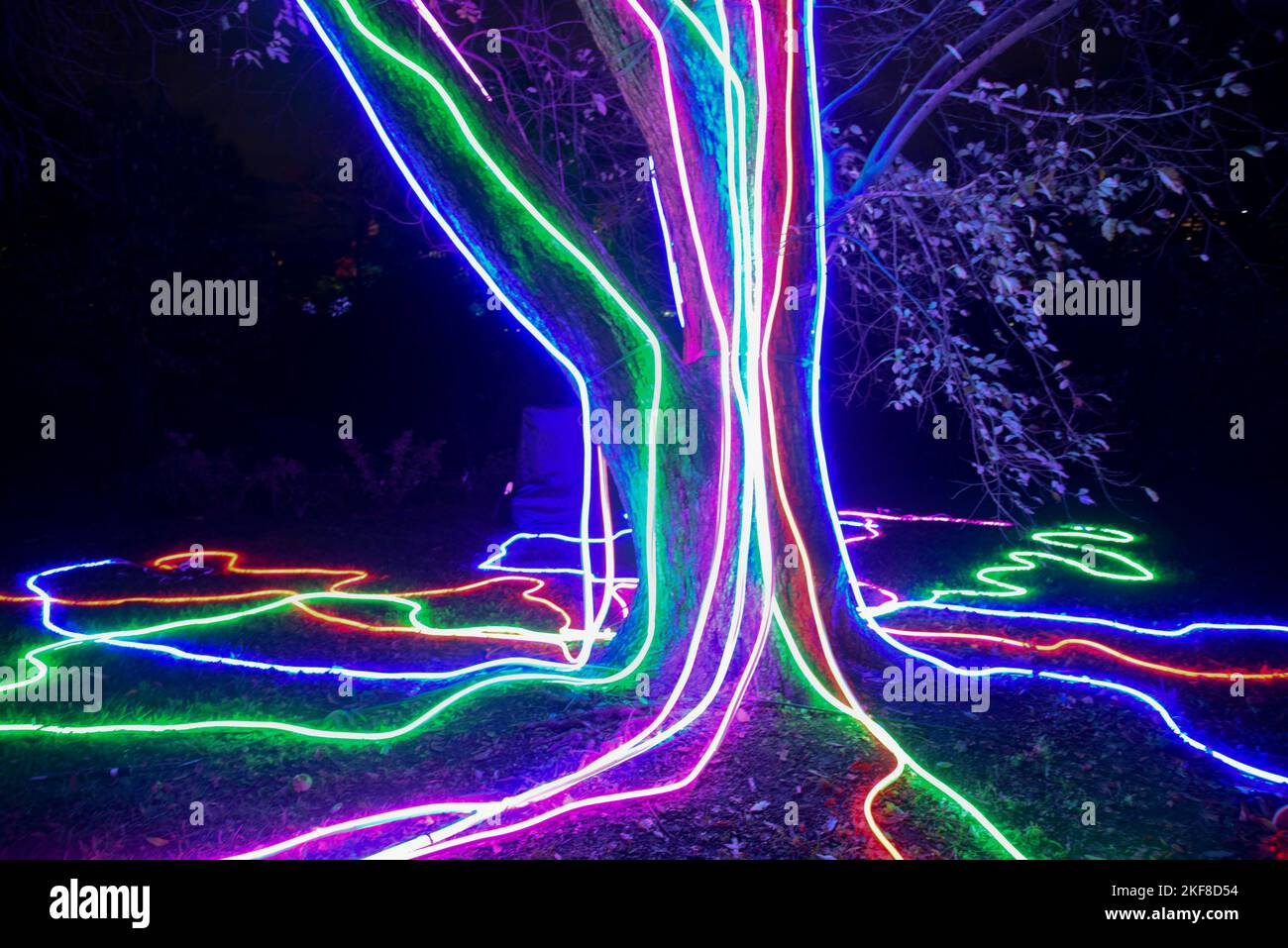 New York, USA. 16th Nov, 2022. Lightscape installations are seen at ...