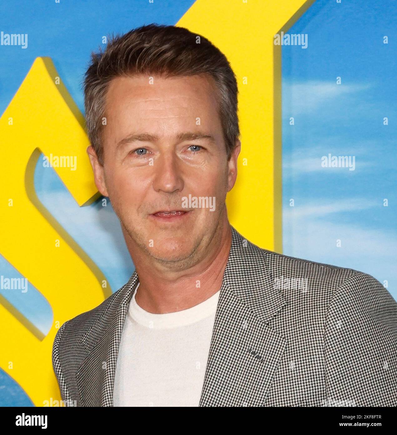 Los Angeles, CA, - Nov 14, 2022: Edward Norton arrives at the Premiere ...