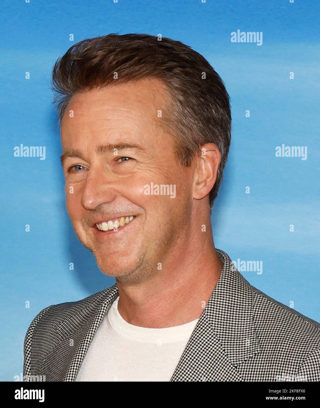 Los Angeles, CA, - Nov 14, 2022: Edward Norton arrives at the Premiere ...