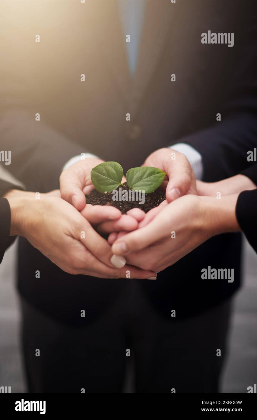 Recycle plants hi-res stock photography and images - Alamy