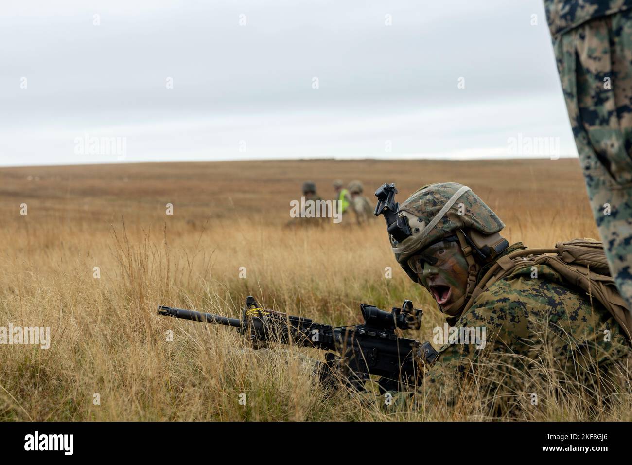 43 commando royal marines hi-res stock photography and images - Alamy
