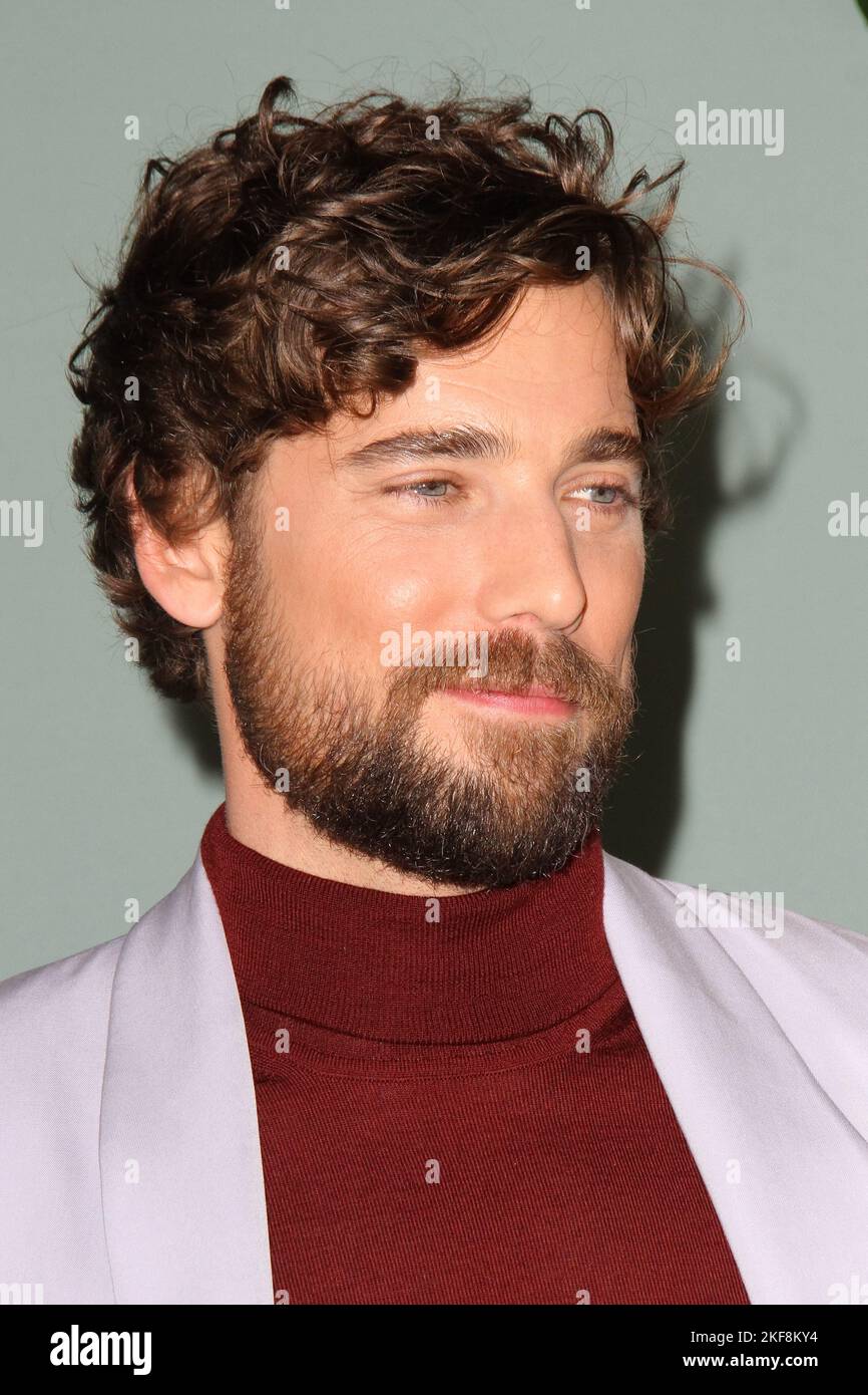 Los Angeles, USA. 17th Nov, 2022. Dustin Milligan at "The People We ...