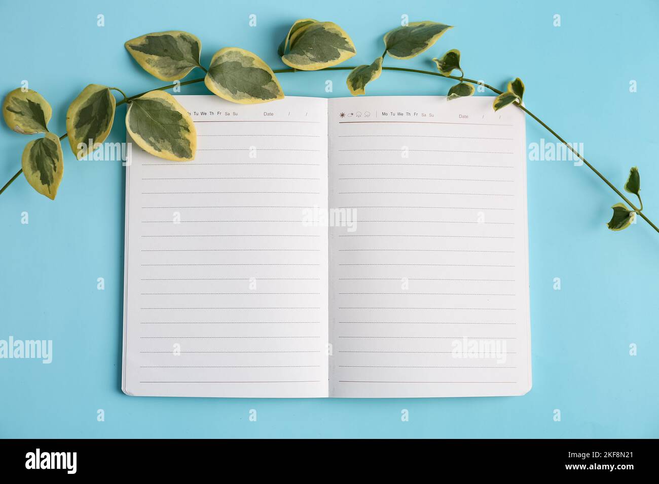 Blank open notebook with plant branch on color background Stock Photo ...