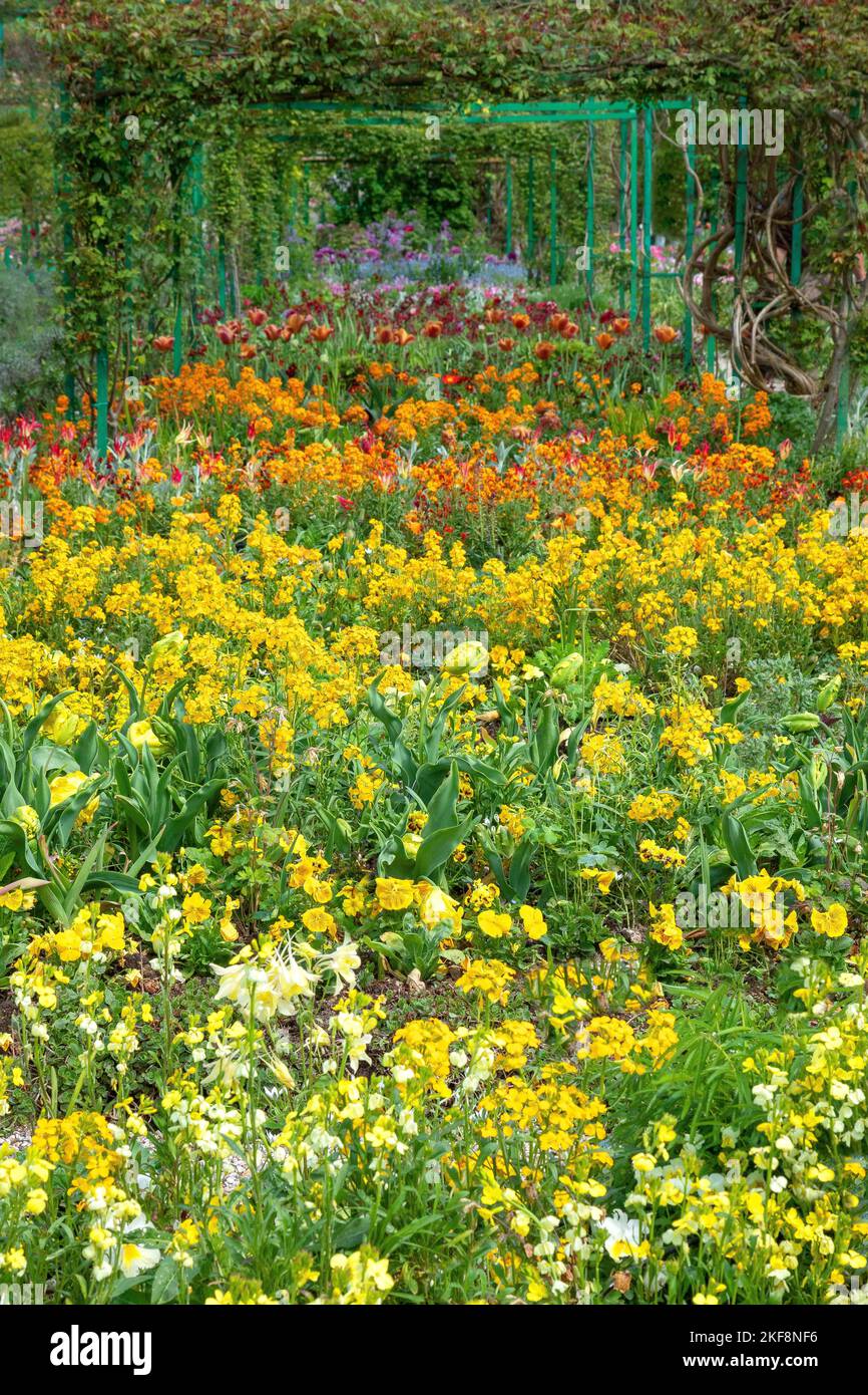 Colorful Spring blooms inside Claude Monet's garden in Giverny, France ...