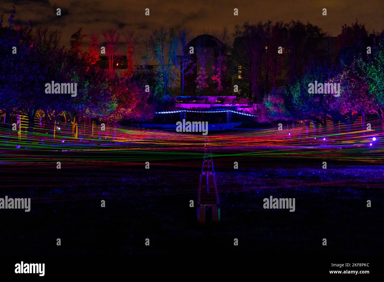 Neon Waves installation by Christopher Wren and Jason Cochran as part ...