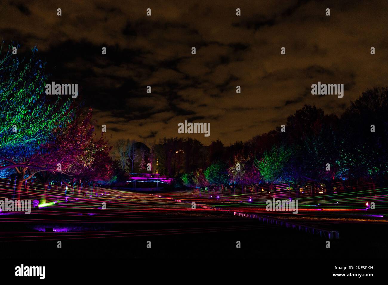 Neon Waves installation by Christopher Wren and Jason Cochran as part ...