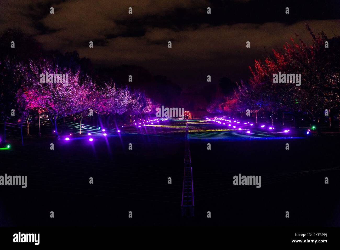 Neon Waves installation by Christopher Wren and Jason Cochran as part ...