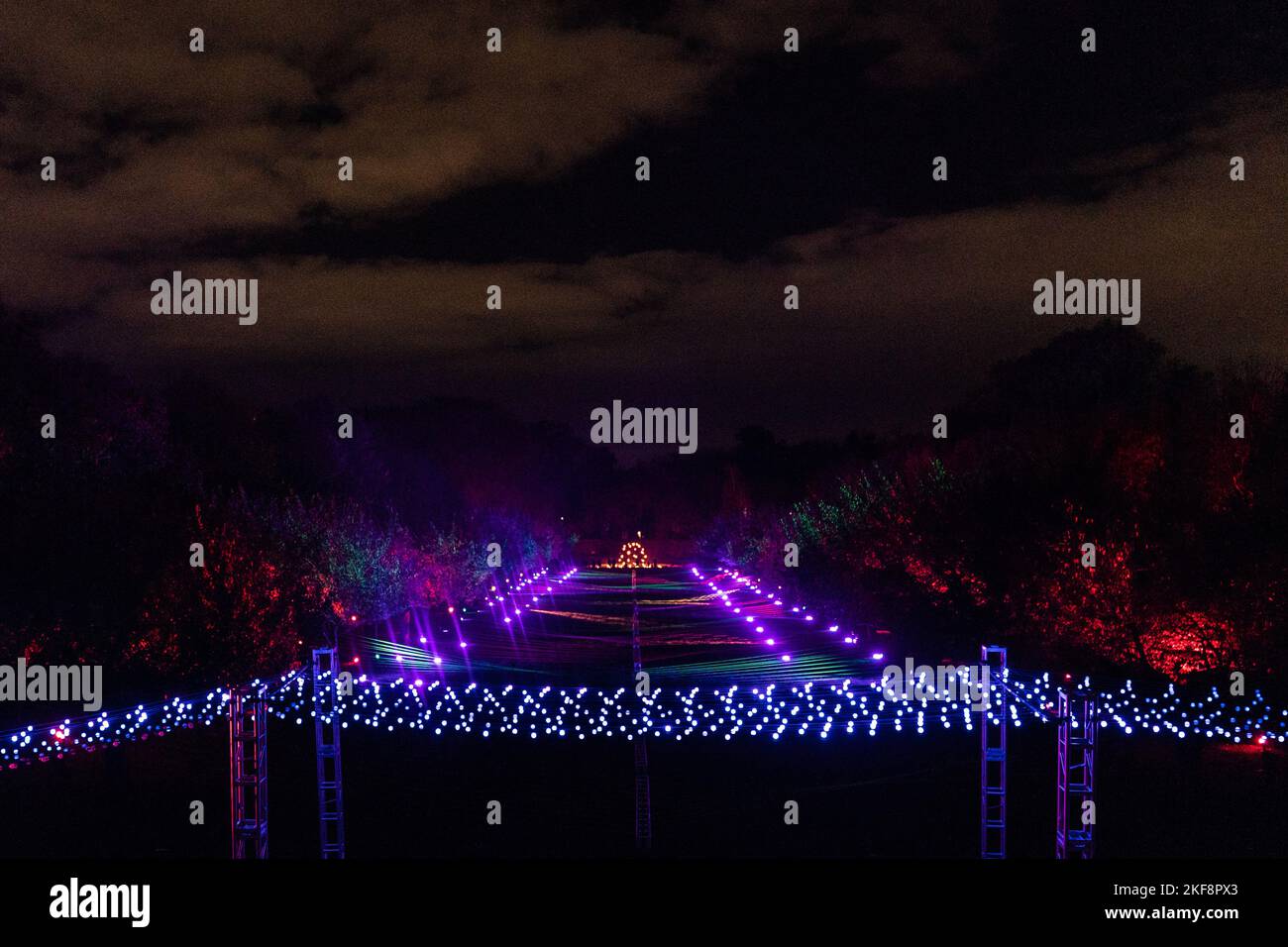 Neon Waves installation by Christopher Wren and Jason Cochran as part ...