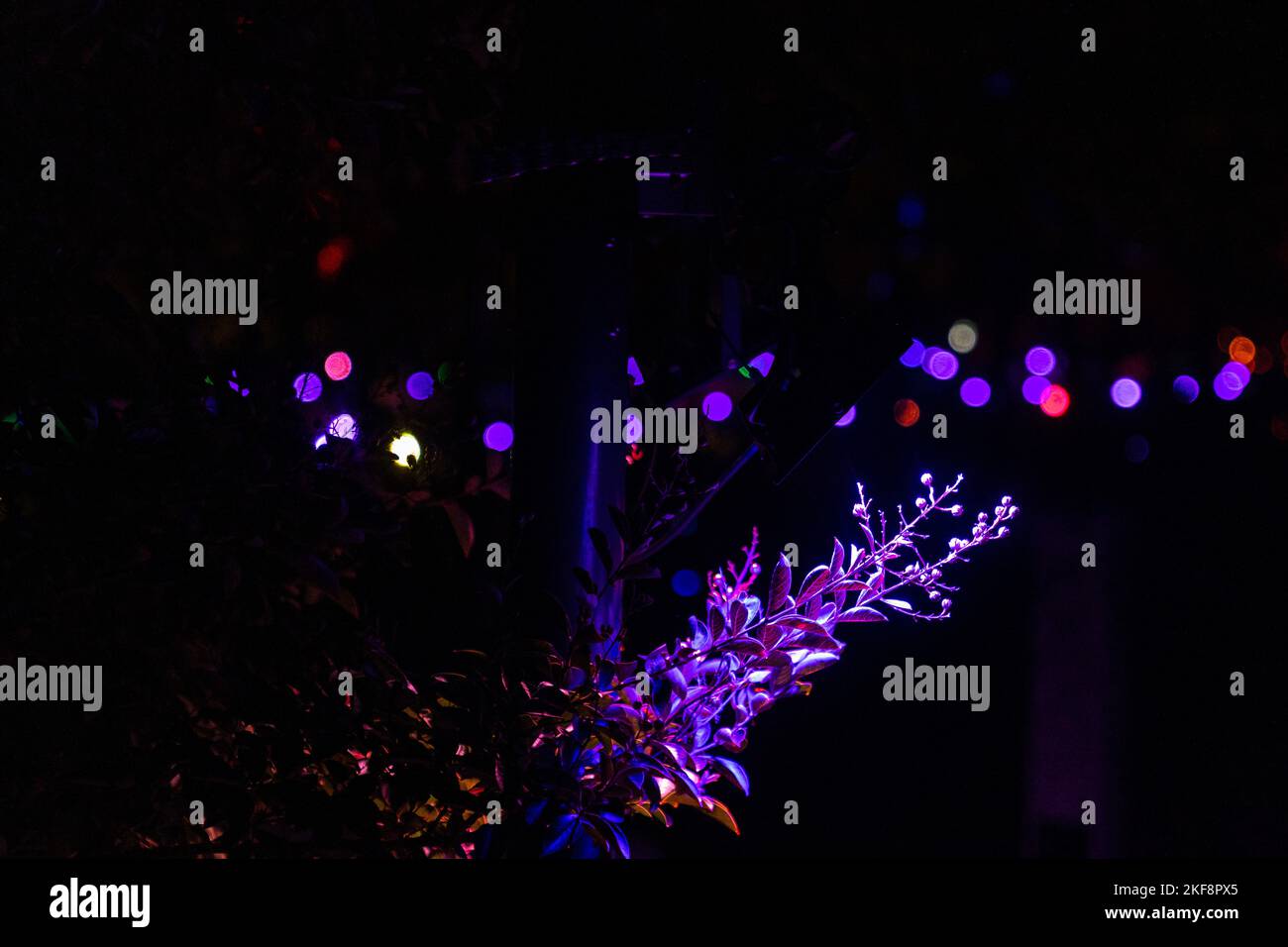 Atmosphere during unveiling of Lightscape installations in Brooklyn ...