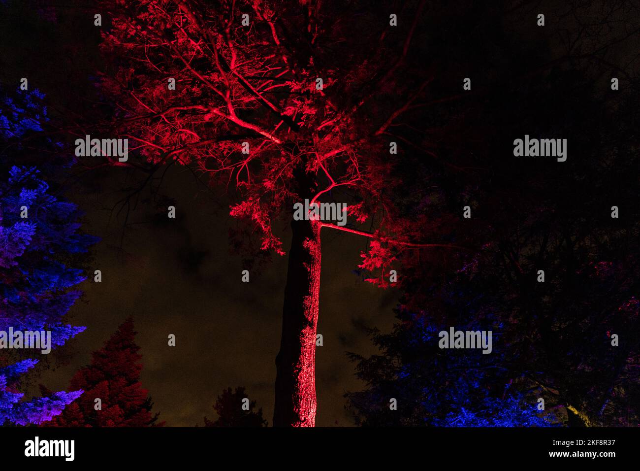 Atmosphere during unveiling of Lightscape installations in Brooklyn ...