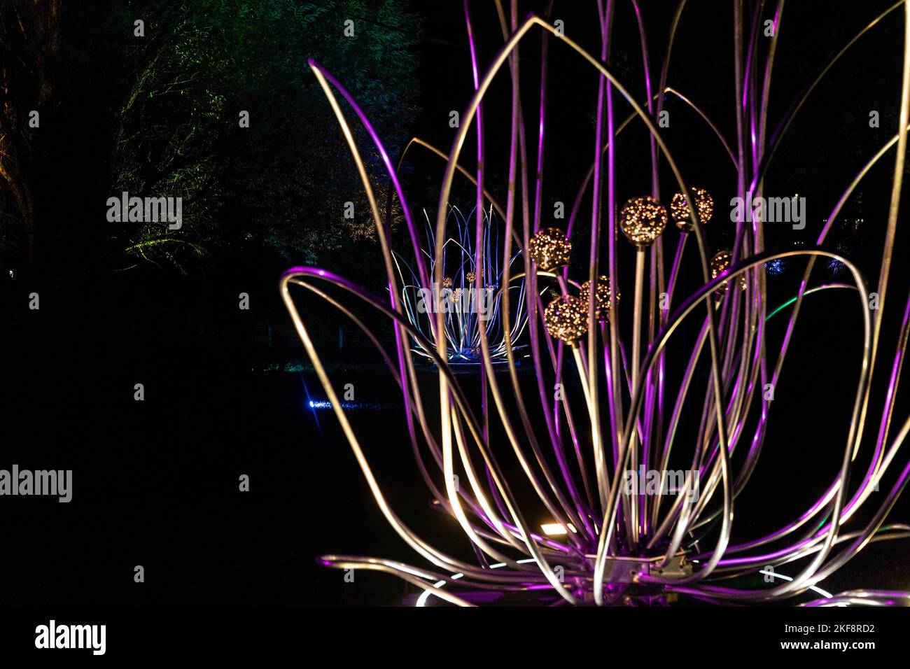 Bloom installation by TILT as part of Lightscape installations in ...