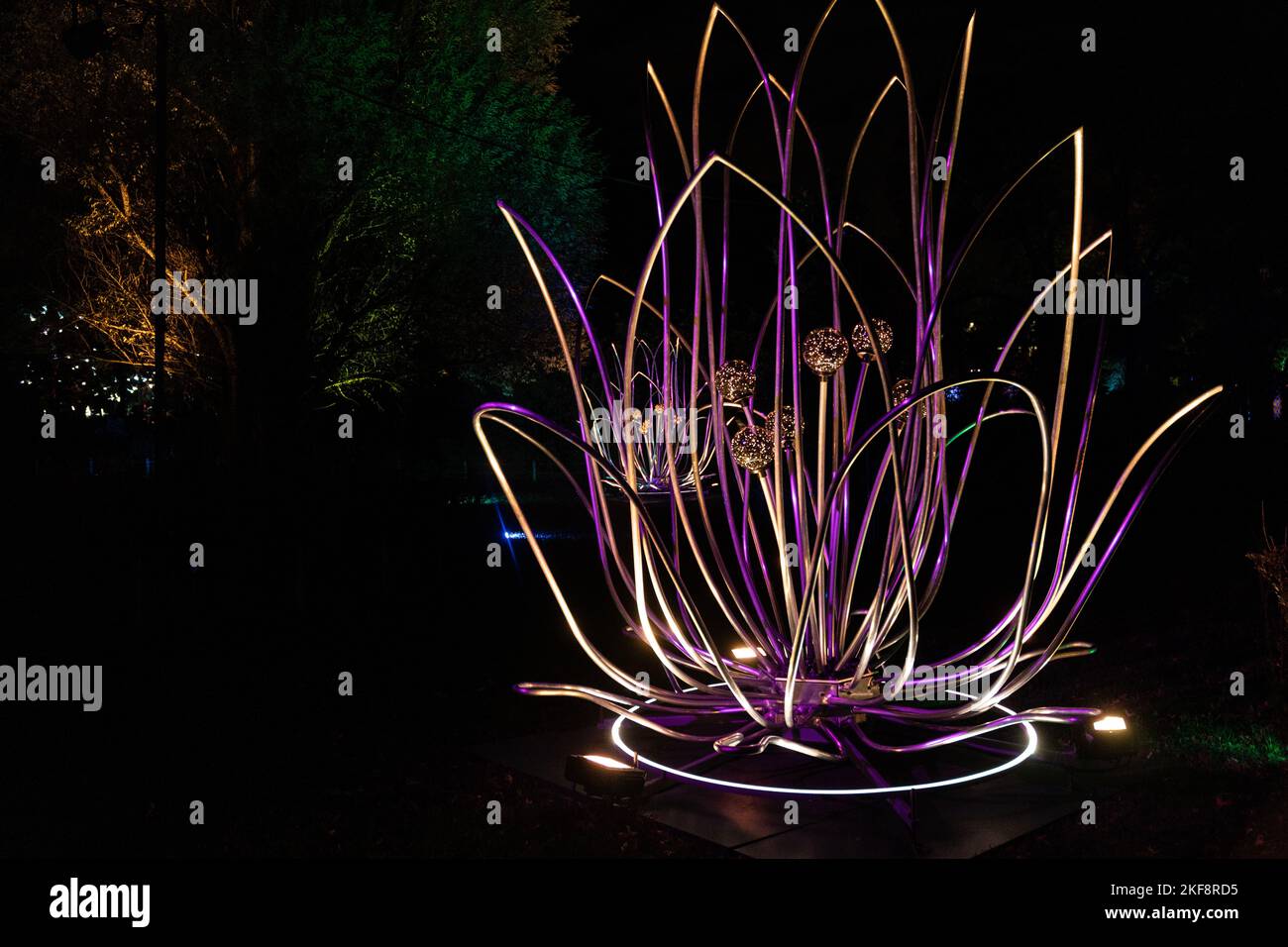 Bloom installation by TILT as part of Lightscape installations in ...