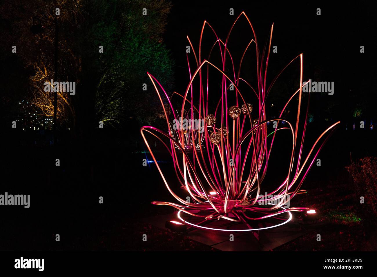 Bloom installation by TILT as part of Lightscape installations in ...