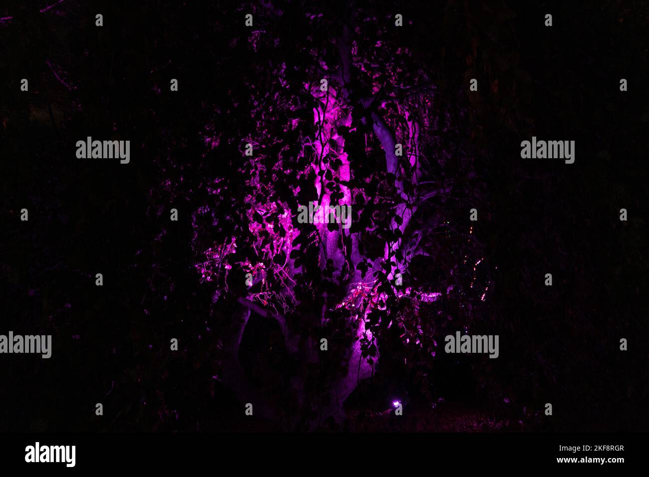 Atmosphere during unveiling of Lightscape installations in Brooklyn ...