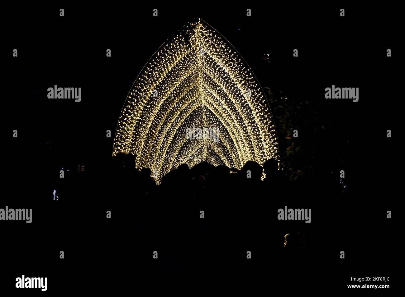 Winter Cathedral installation by Mandylights as part of Lightscape ...