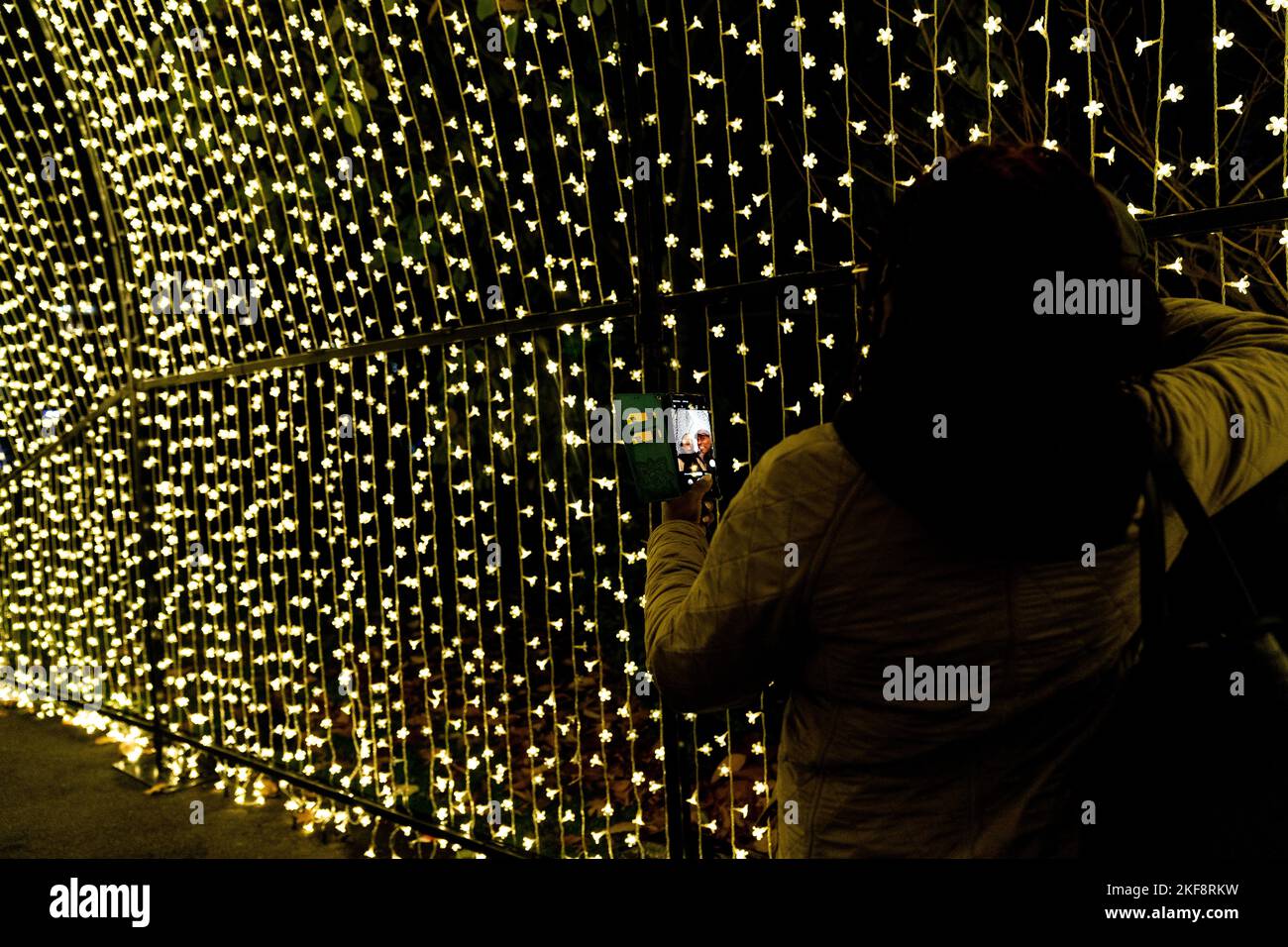 Winter Cathedral installation by Mandylights as part of Lightscape ...