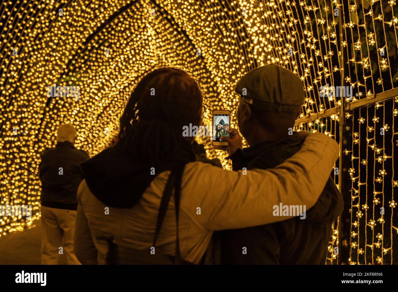 Winter Cathedral installation by Mandylights as part of Lightscape ...
