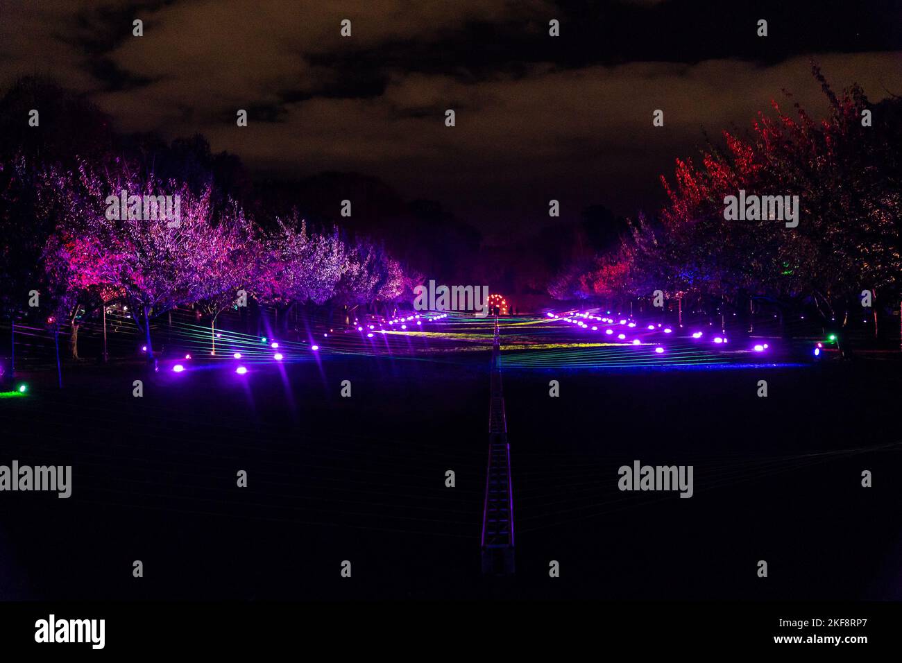 Brooklyn wren hi-res stock photography and images - Alamy