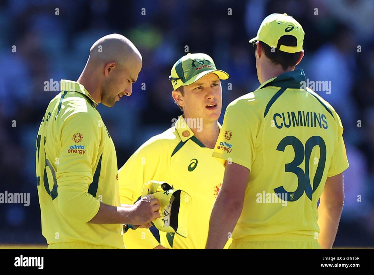 Patrick cummins australia hi-res stock photography and images - Alamy