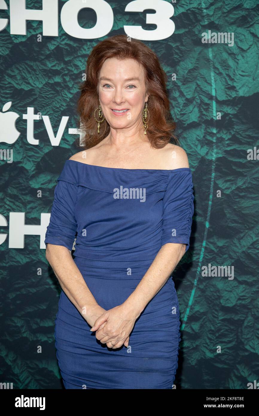NEW YORK, NEW YORK - NOVEMBER 16: Valerie Mahaffey attends Apple TV+'s ...
