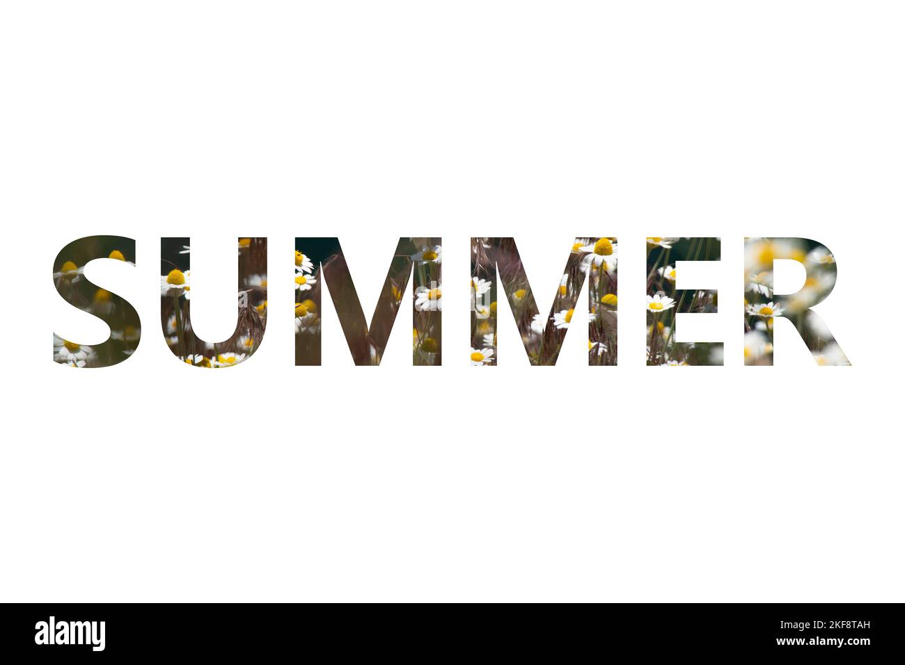 word summer made of field texture with daisies on white background ...