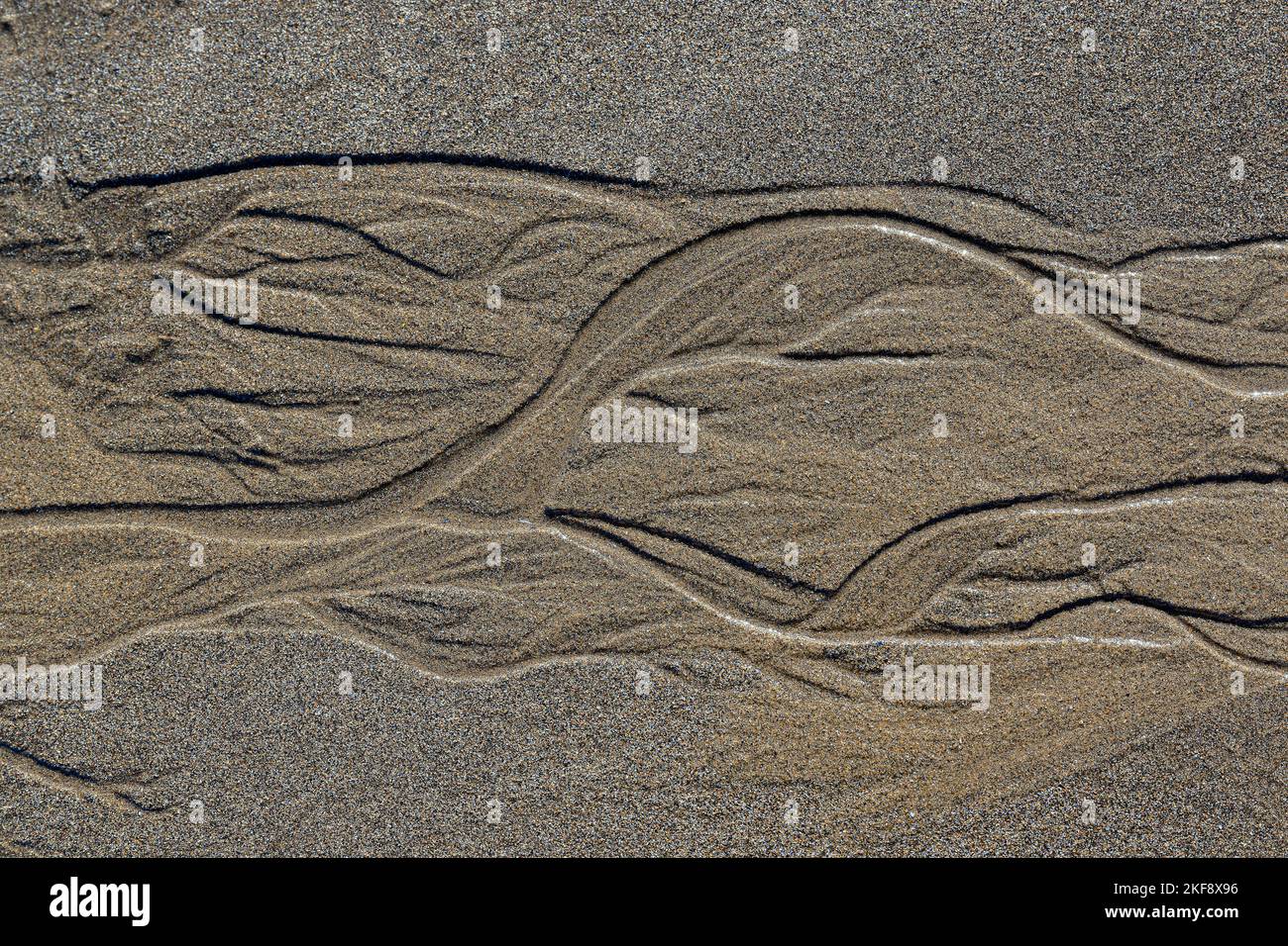 Patterns in the san formed by tidal waters, at Robin Hoods Bay , North ...