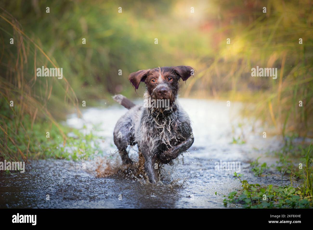 Big hunting creek hi-res stock photography and images - Alamy