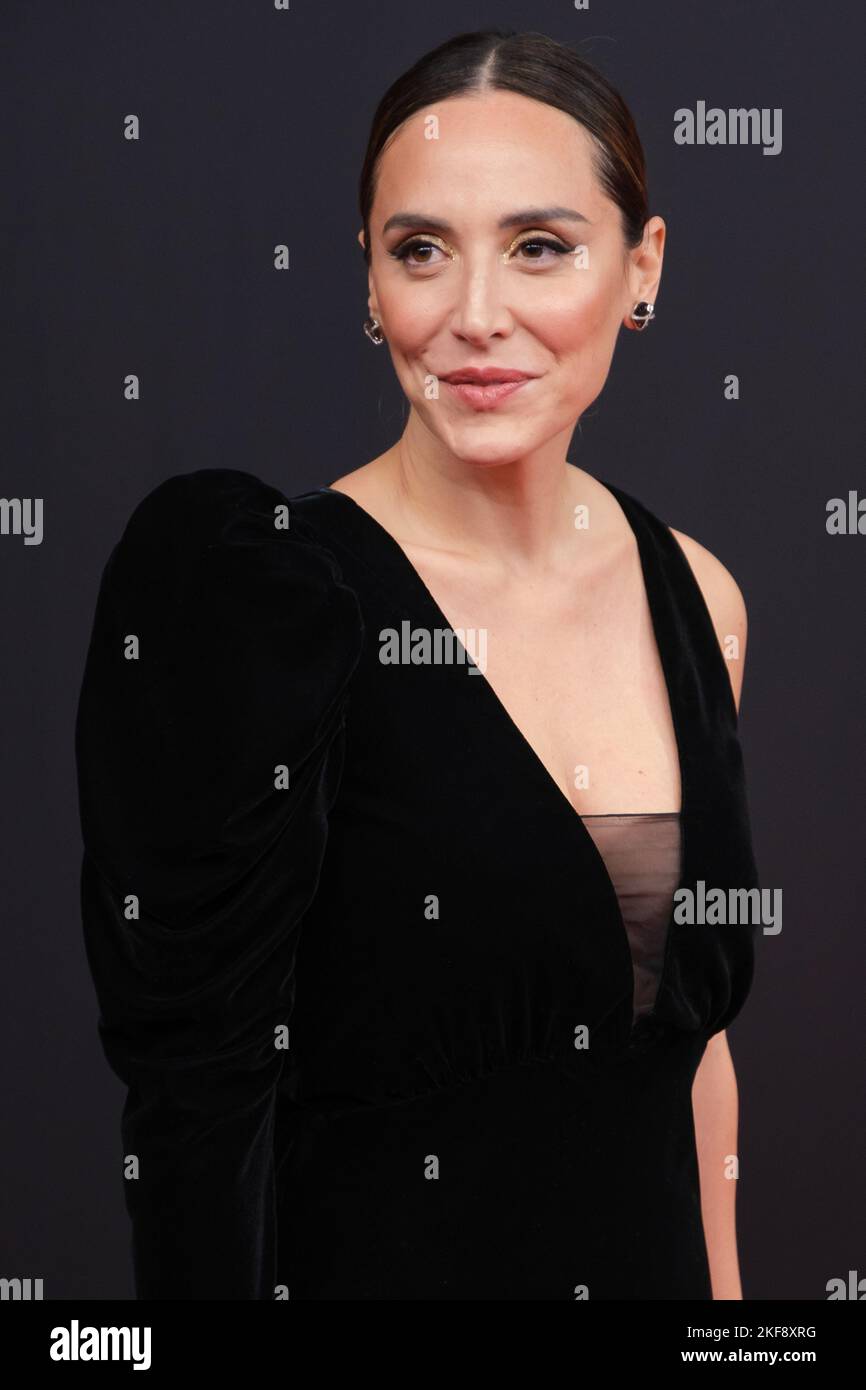 Madrid, Spain. 16th Nov, 2022. Tamara Falcó attend the Harper's Bazaar ...