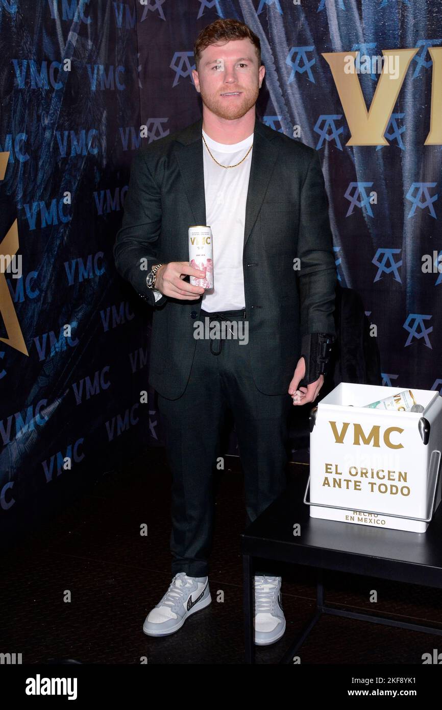 Mexico City, Mexico. 16th Nov, 2022. November 16, 2022 in Mexico City ...