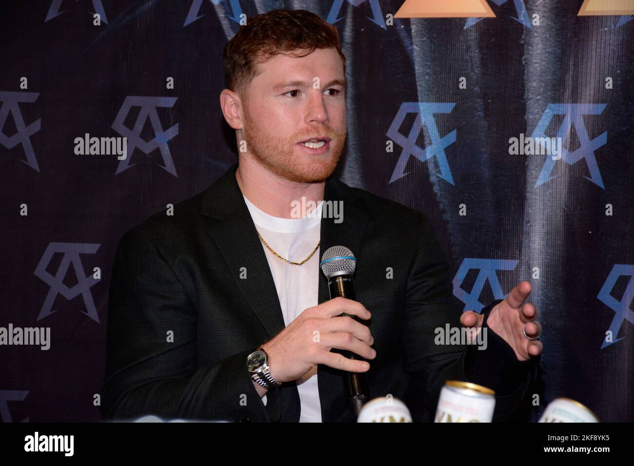 Mexico City, Mexico. 16th Nov, 2022. November 16, 2022 in Mexico City ...