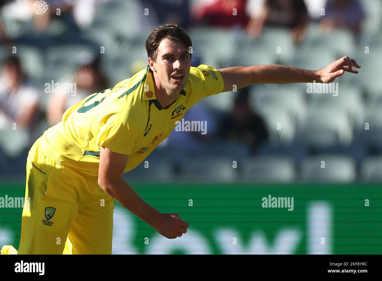 Pat cummins 2022 hi-res stock photography and images - Alamy