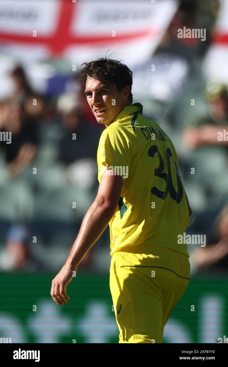 Patrick cummins australia hi-res stock photography and images - Alamy
