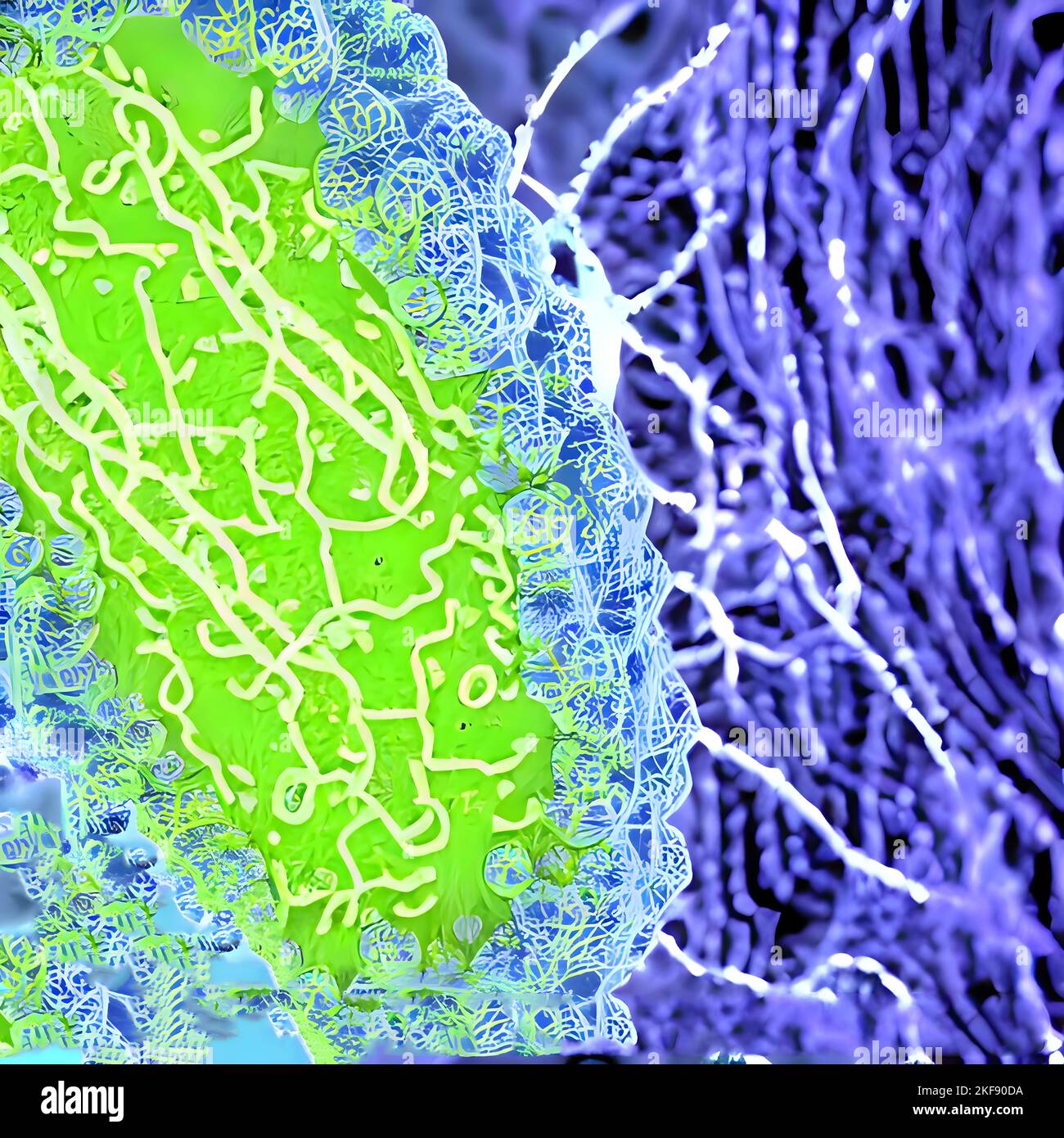 A 3D rendering of green virus bacteria floating in a cellular ...