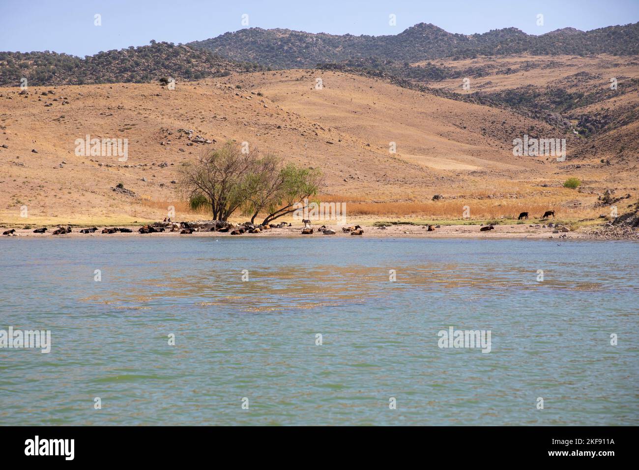 Mountain and Water Landscape and background Stock Photo - Alamy
