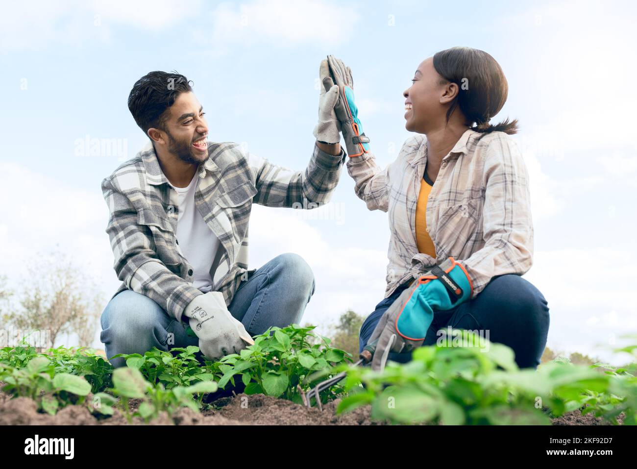 Farm, high five and man and woman celebrating farming success during ...