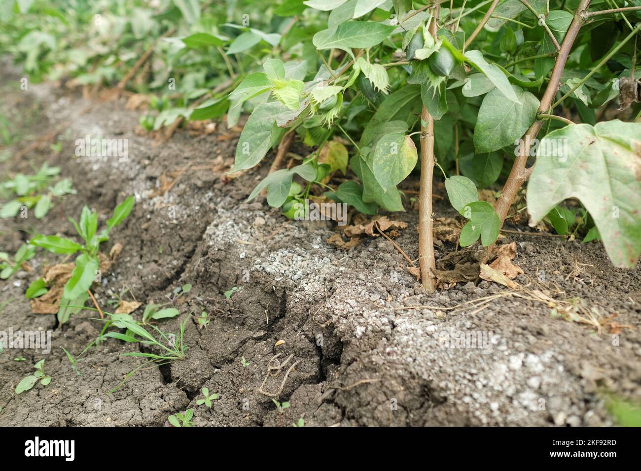 Soil permeability hi-res stock photography and images - Alamy
