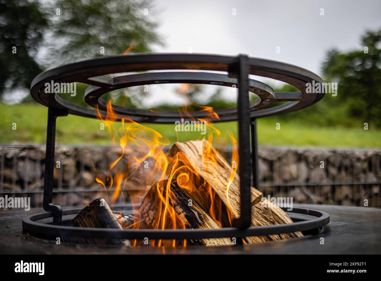 A metal fire pit with the wood burning in the hot flames on a natural ...