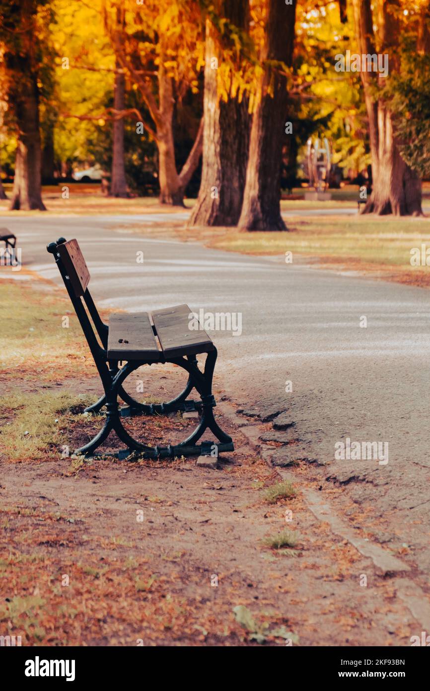 Green wooden bench in the park on sunny day in autumn spring summer ...