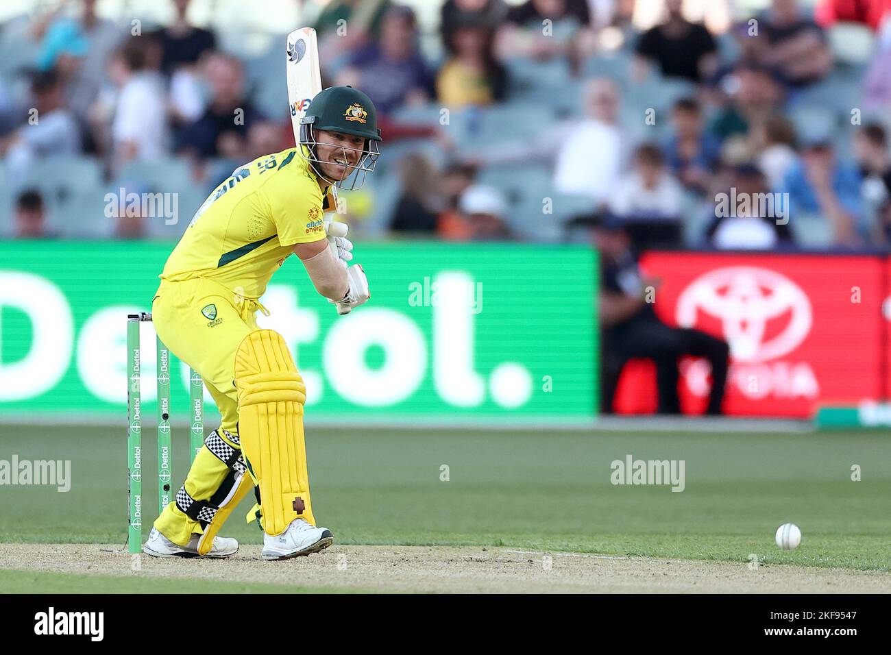 David Warner of Australia is seen during the Dettol ODI Series match ...
