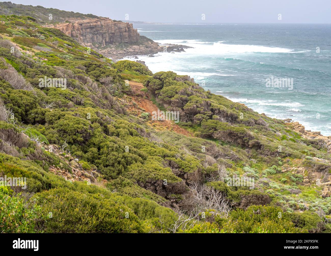 Rugged coastline and cliffs on the Cape to Cape trail in Margaret River ...