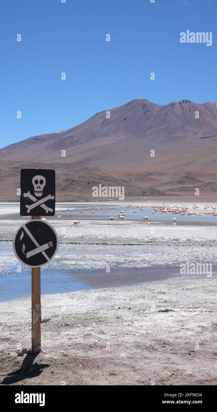 Death sign skull Uyuni Bolivia lake Red White Salt Stock Photo - Alamy