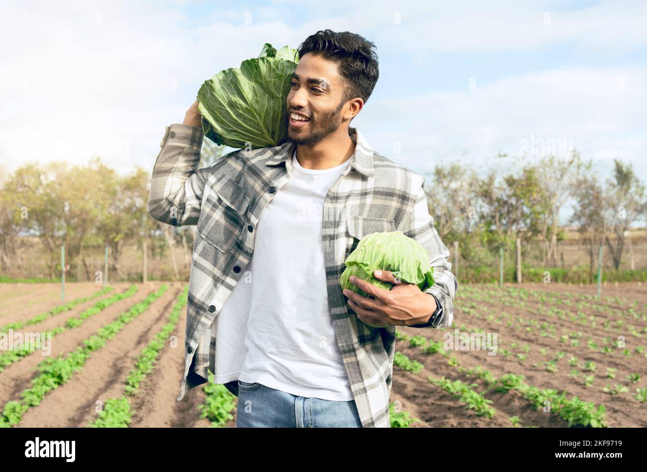 Farm, sustainability and lettuce with a man farmer walking on ...