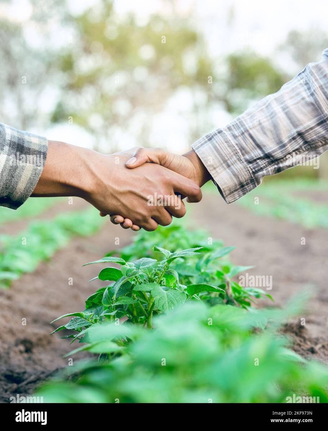 Hands on farming hi-res stock photography and images - Alamy