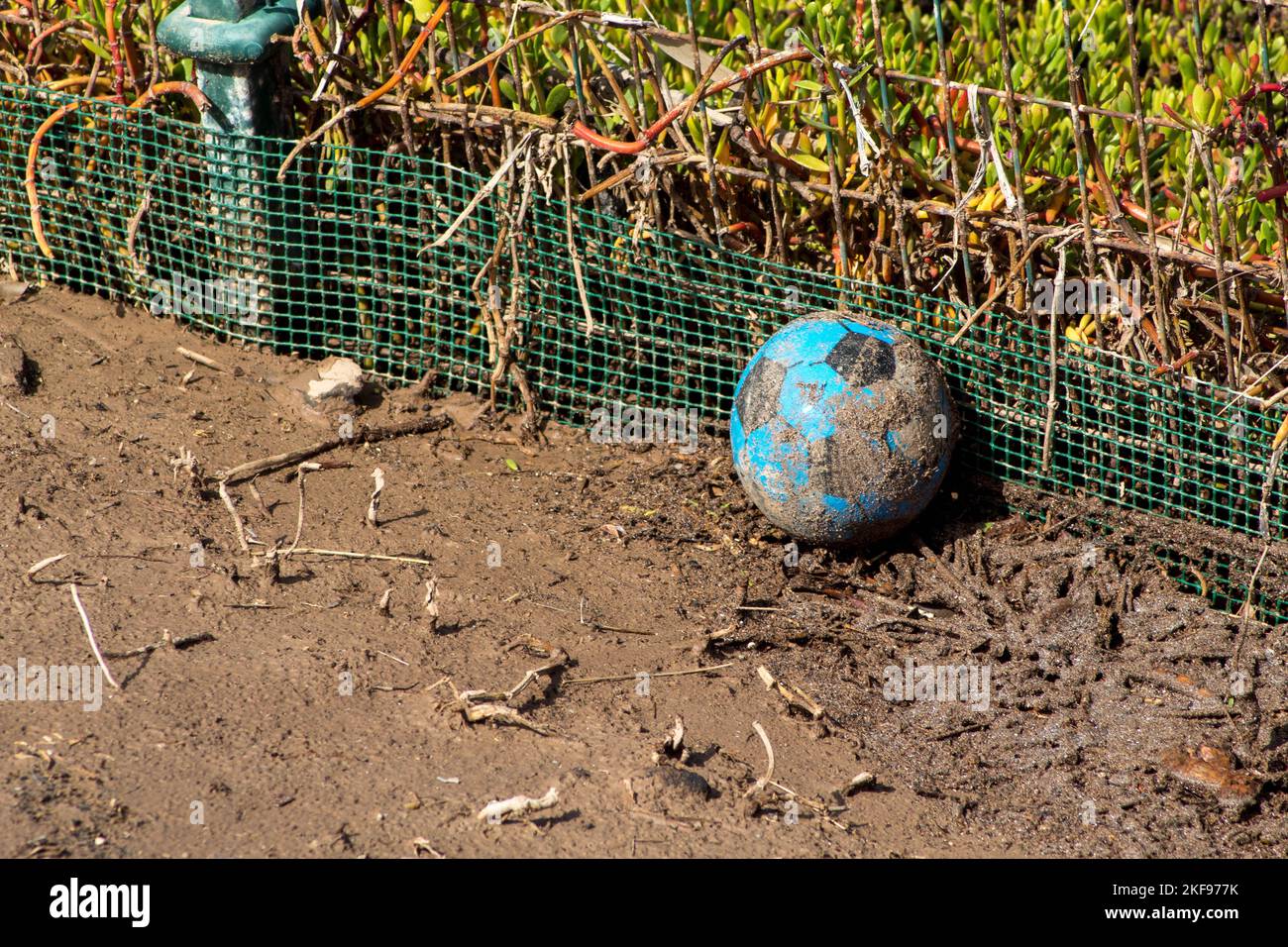 The high-angle shot of a muddy blue soccer ball left by the fence Stock ...