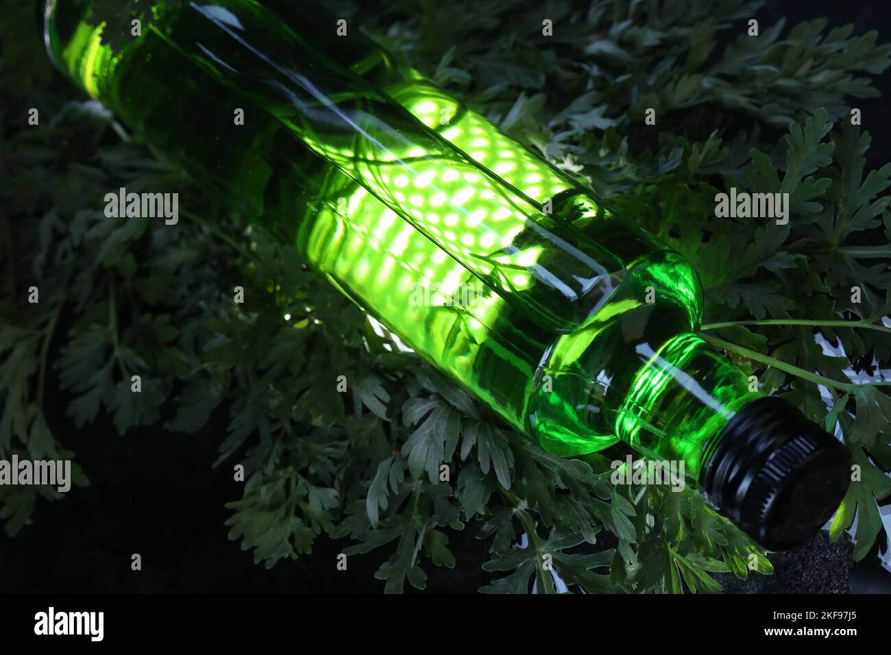 bottle of green absinthe drink on the black background with herbs Stock ...