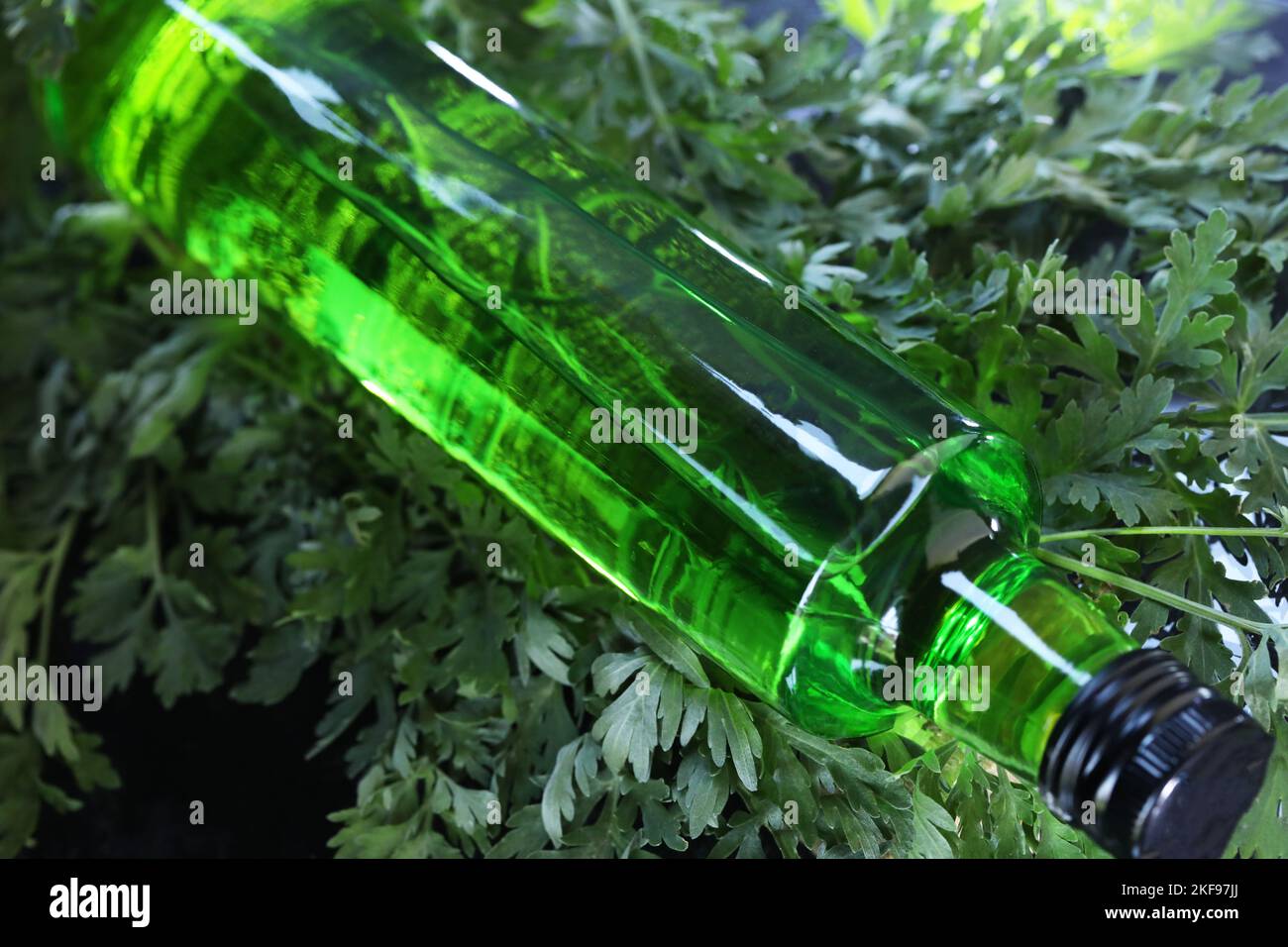 bottle of green absinthe drink on the black background with herbs Stock ...