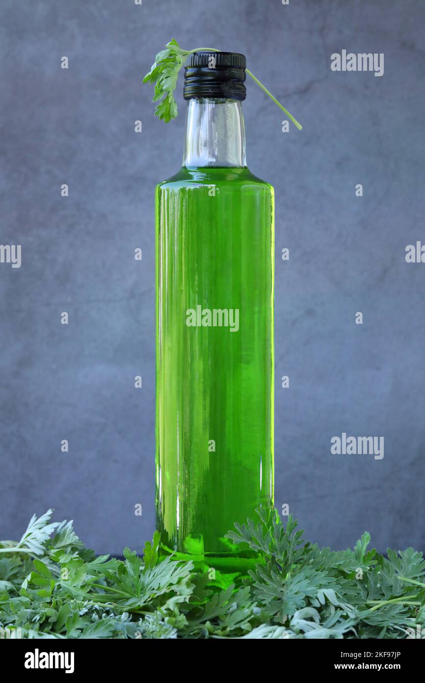 bottle of green absinthe drink on the black background with herbs Stock ...