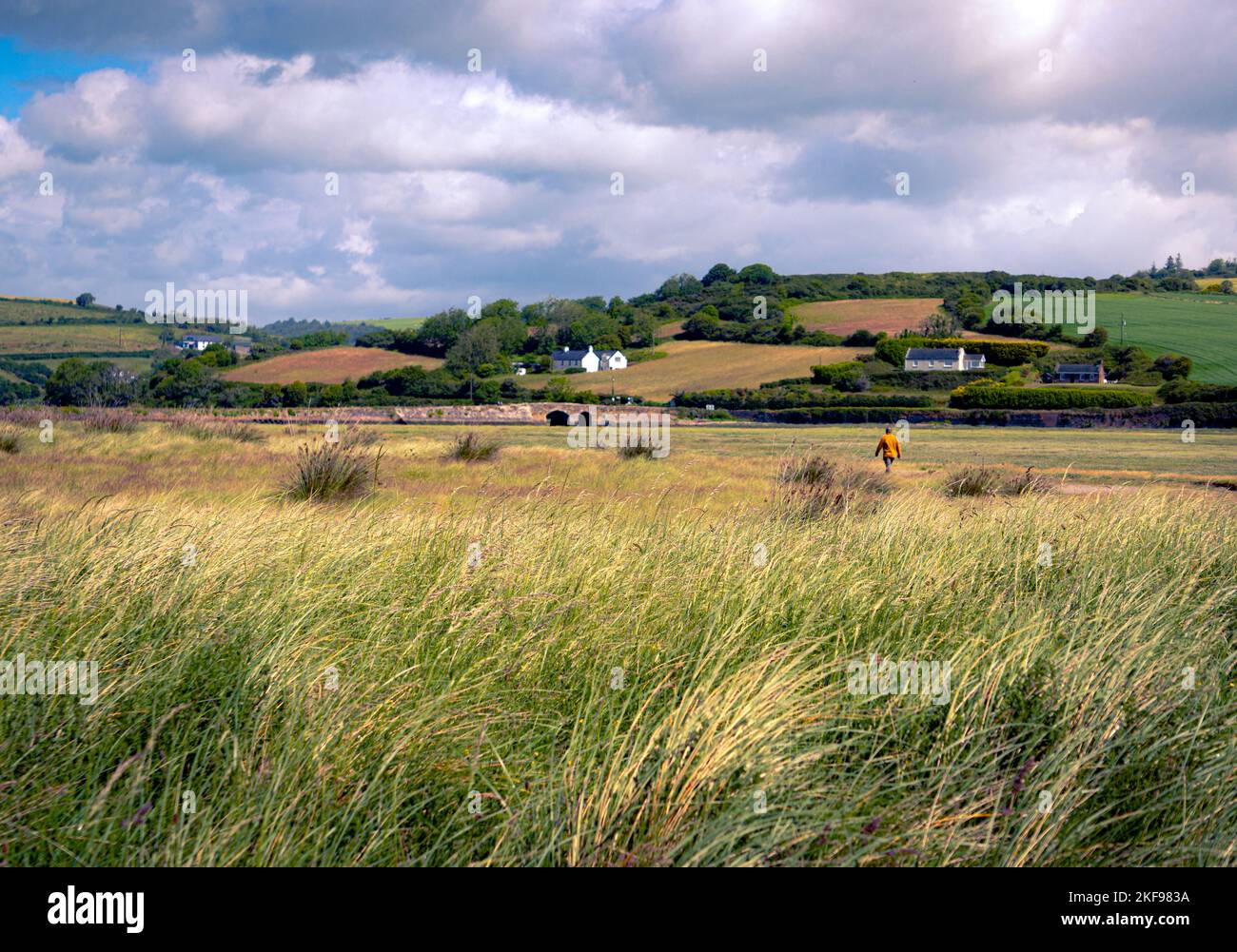 West cork agriculture hi-res stock photography and images - Alamy